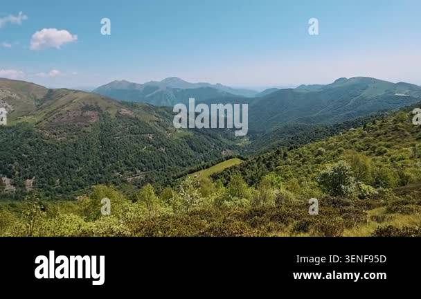 Wide view of densely forested green alpine mountain ridges and valleys ...