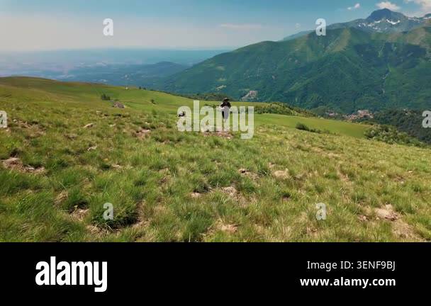 Small distant figure of hiker walking along green alpine meadow with ...