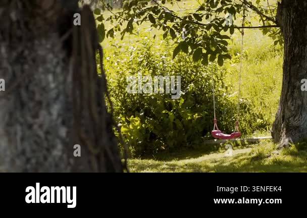 A pink swing seat hangs quietly in a grassy garden between large tree ...