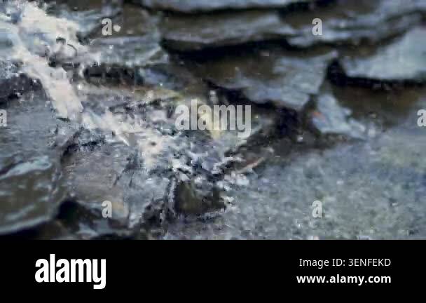 Close-up of flowing water moving over dark wet stones, with ripples ...