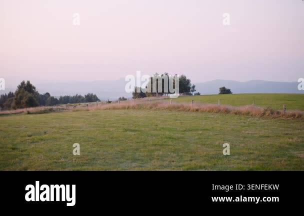 Wide open countryside with a grassy field, scattered trees, distant ...