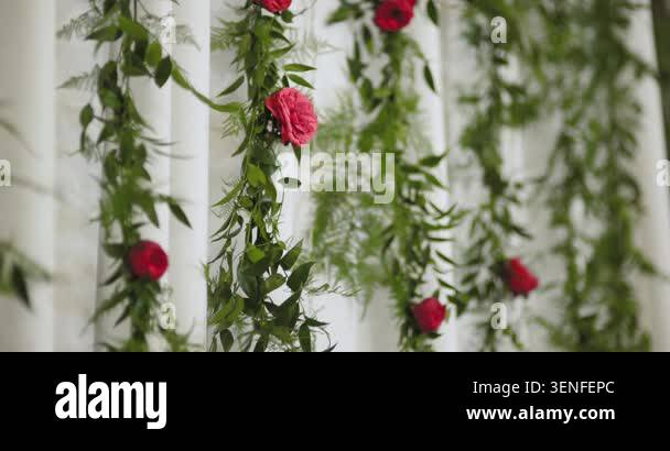 Delicate green vine garlands with red roses hang in soft focus against ...
