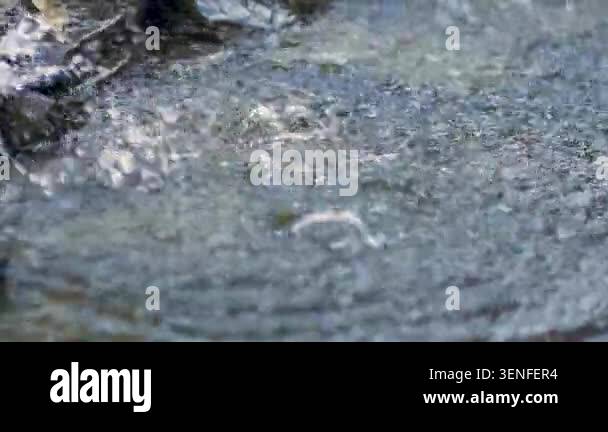 Close-up of clear stream water rippling and glistening as it moves over ...