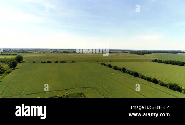 Wide aerial view of lush green agricultural fields stretching toward ...