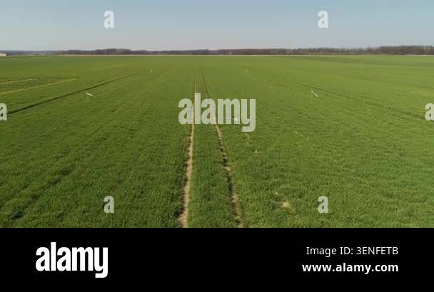 Wide aerial view of a lush green crop field with parallel dirt tracks ...