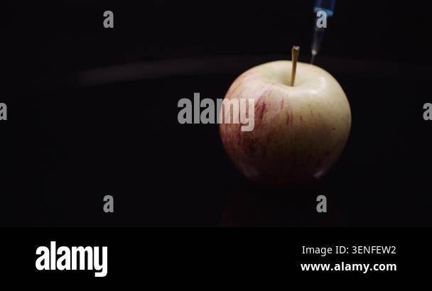 Close-up of a ripe red apple with a syringe needle inserted from above ...