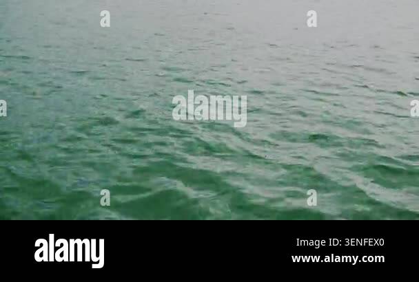 Soft ripples move across a calm green water surface with subtle ...
