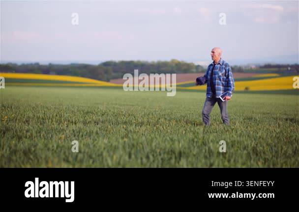 A bald adult man in a blue plaid shirt walks through open countryside ...