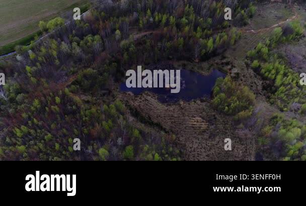High-angle view of a small dark pond surrounded by mixed woodland and ...