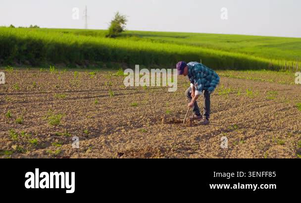 A farmer bends over while working the soil in a dry cultivated field ...