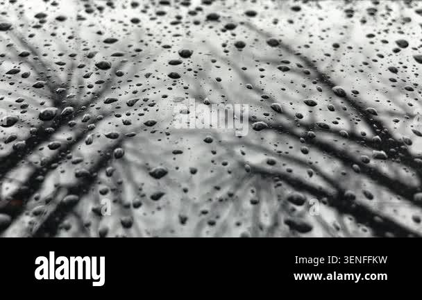 Drops on glass, black and white, beautiful background, raindrops ...