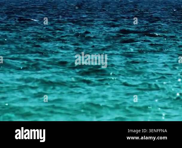 Animation of the turquoise sea, background water with waves. Beautiful ...