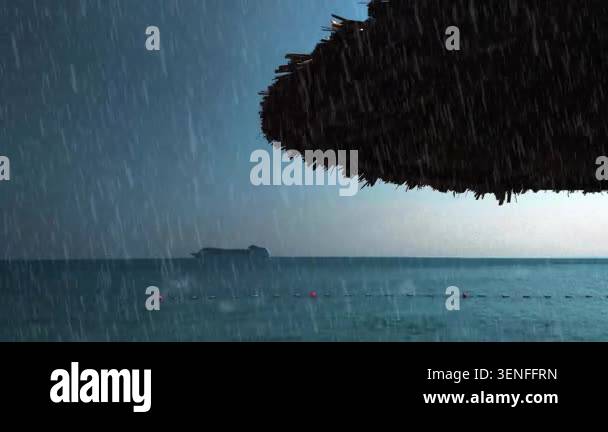 Tropical summer Animation rain on the shore by the sea, background of a ...
