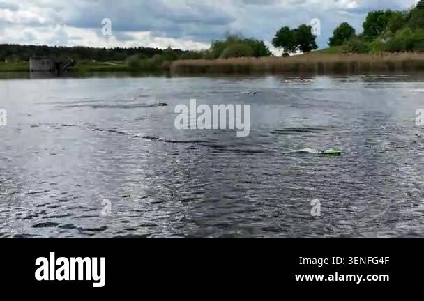 Miniature remote controlled toy speedboats racing on a calm lake ...