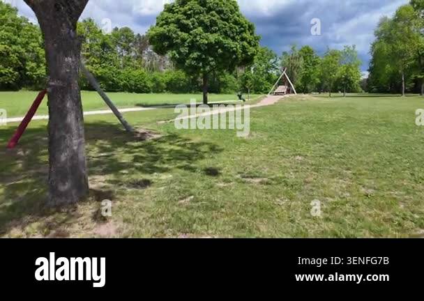 Cheerful school-aged boy in orange t-shirt riding a rope swing attached ...