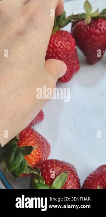 Fresh ripe strawberries aligned in a clear glass dish, one berry held ...