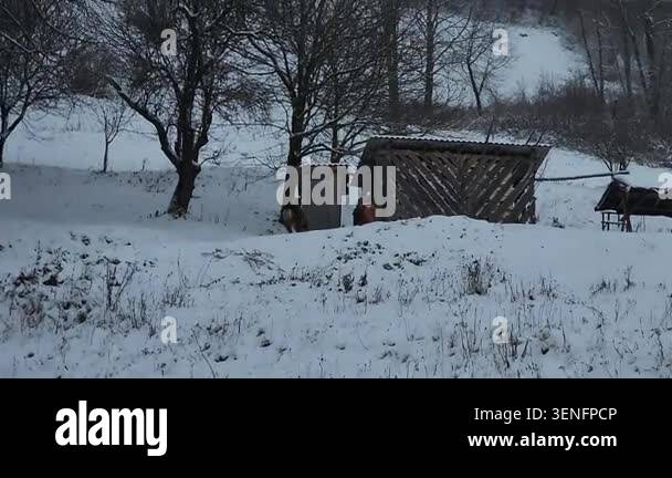a beautiful shot of a snowy winter landscape in the park Stock Video ...