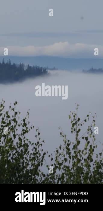 beautiful foggy landscape with fog in the mountains Stock Video Footage ...