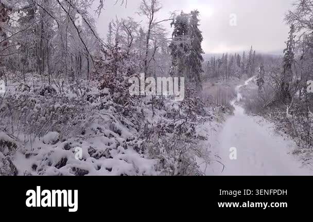 a winter landscape with a road and a tree in the snow Stock Video ...