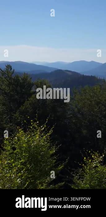 beautiful mountain landscape in the carpaththians, ukraine Stock Video ...