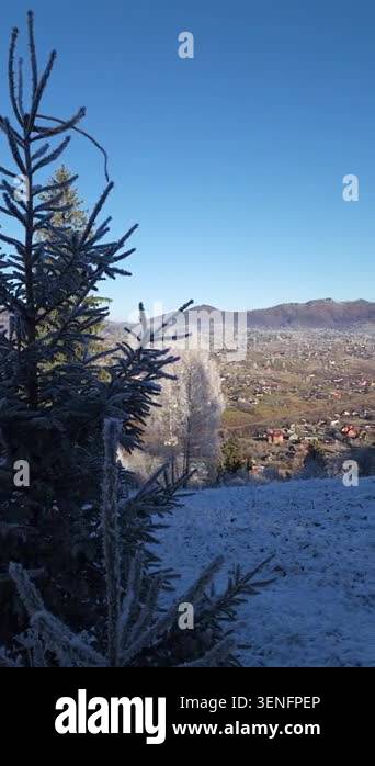 winter landscape with snow covered trees Stock Video Footage - Alamy