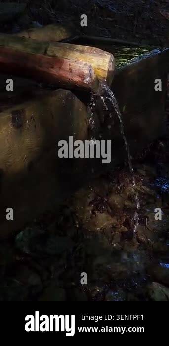 water stream in the forest Stock Video Footage - Alamy