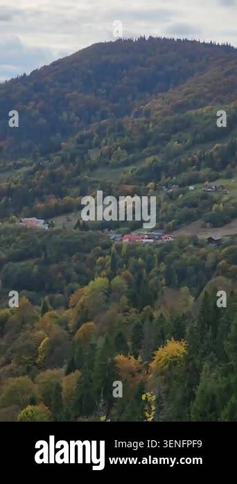 autumn landscape with trees and forest Stock Video Footage - Alamy