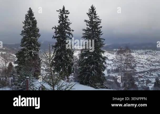 beautiful landscape with snow covered trees Stock Video Footage - Alamy