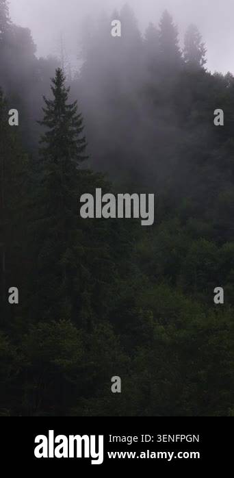 beautiful landscape with a mountain Stock Video Footage - Alamy