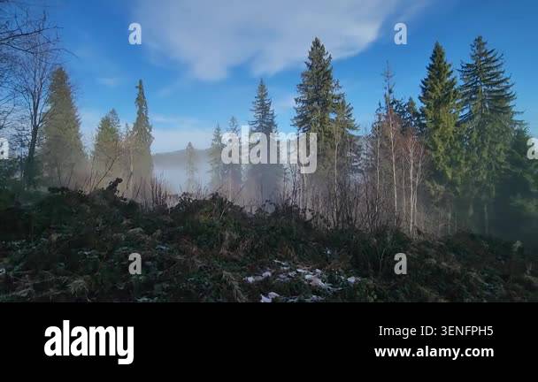 a foggy morning in the mountains, a beautiful landscape in the autumn ...