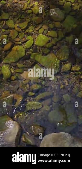 beautiful river with rocks Stock Video Footage - Alamy