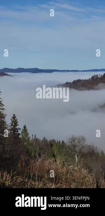 beautiful view of a forest in the mountains Stock Video Footage - Alamy