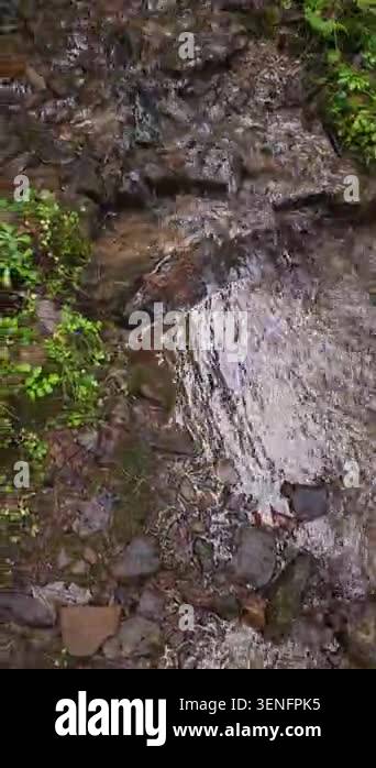 waterfall in the forest Stock Video Footage - Alamy