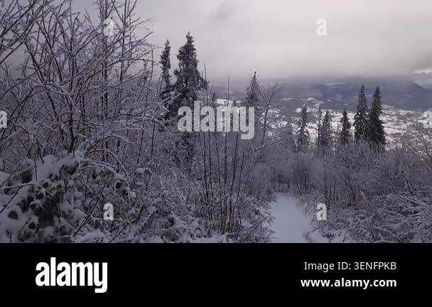 beautiful winter landscape in the mountains Stock Video Footage - Alamy