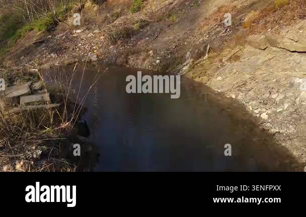 a vertical shot of a river in the forest Stock Video Footage - Alamy