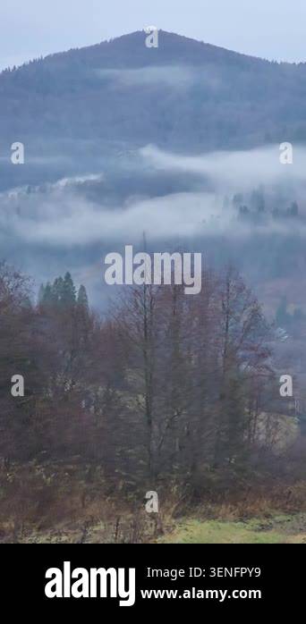 fog over the mountain forest Stock Video Footage - Alamy