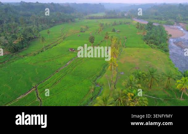 Beautiful morning view in Indonesia, panoramic landscape of rice fields ...