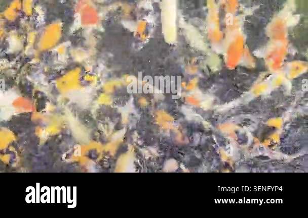 abstract colorful background, creative mix design Stock Video Footage ...