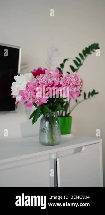beautiful white rose peonies bouquet with houseplant in cozy home ...