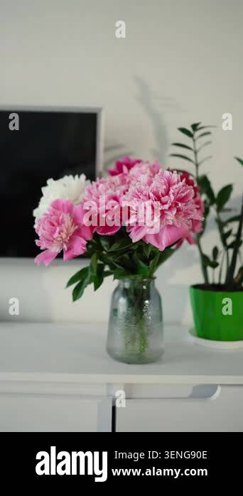 beautiful white rose peonies bouquet with houseplant in cozy home ...