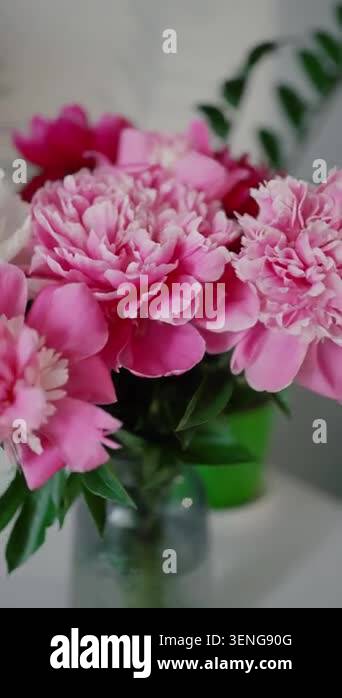 beautiful white rose peonies bouquet with houseplant in cozy home ...