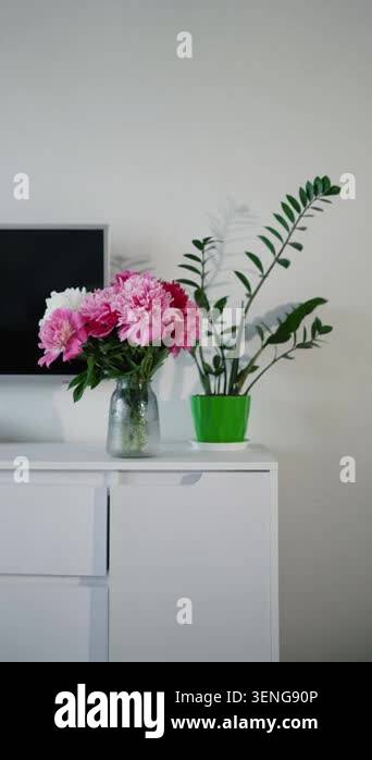 beautiful white rose peonies bouquet with houseplant in cozy home ...