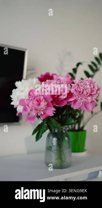 beautiful white rose peonies bouquet with houseplant in cozy home ...