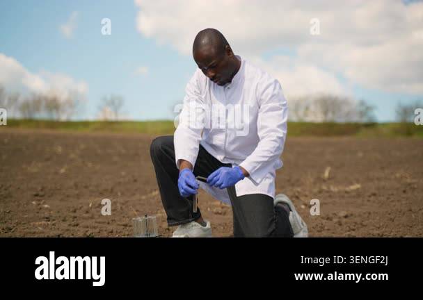 African american scientist examining a soil sample in a test tube. Male ...
