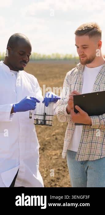 Agronomist and a farmer analyzing soil samples together in a plowed ...
