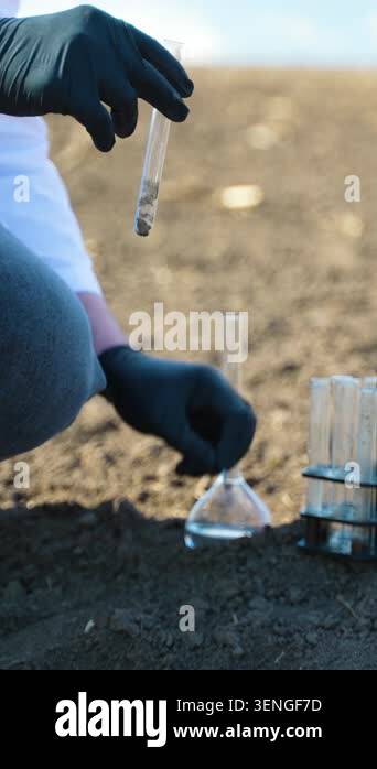 Agronomist in a lab coat and protective gloves collecting soil samples ...