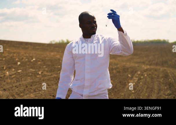 Black laboratory worker examining a soil sample in a test tube. Male ...