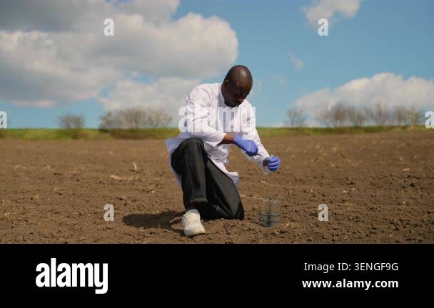 Serious african american agronomist taking a soil sample for chemical ...