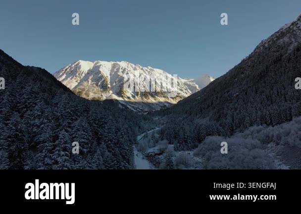 Snow covered mountains, forests and trees. Pine, cedar, hornbeam ...