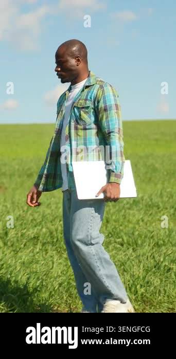 Modern agronomist walking through a green wheat field on a sunny day ...